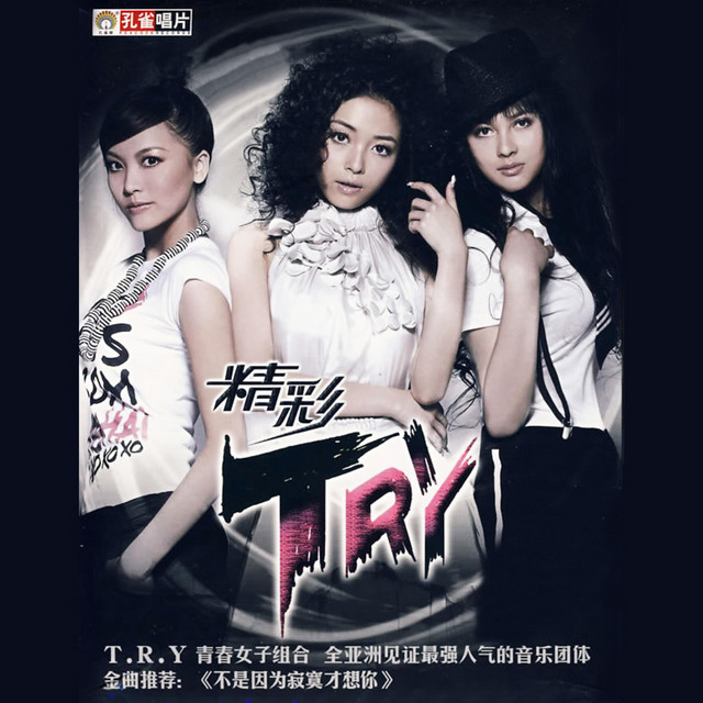 精彩TRY - Album by T.R.Y | Spotify