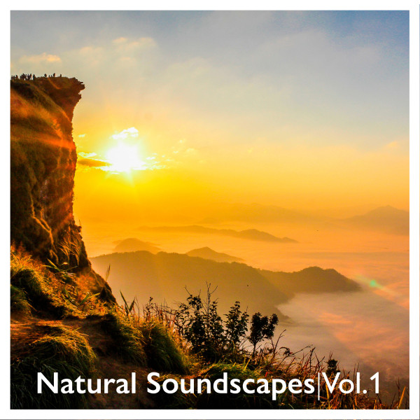 Natural Soundscapes, Vol. 1 - Album by Gene Pierson | Spotify