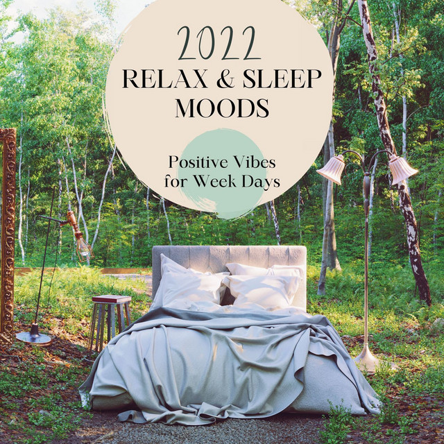 2022 Relax & Sleep Moods: Positive Vibes for Week Days - Album by Penny ...