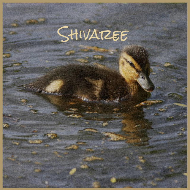 Shivaree - Compilation by Various Artists | Spotify