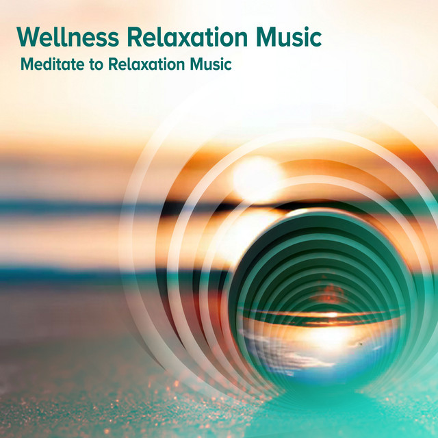 Wellness Relaxation Music - Album by Meditate to Relaxation Music | Spotify
