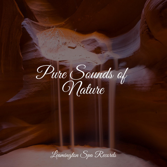 Pure Sounds of Nature - Album by Nature Noise | Spotify