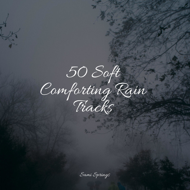 50 Soft Comforting Rain Tracks - Album by Sonido Del Bosque y ...