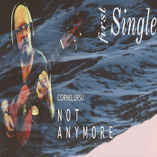 Not Anymore - Single by Cornel Ursu | Spotify