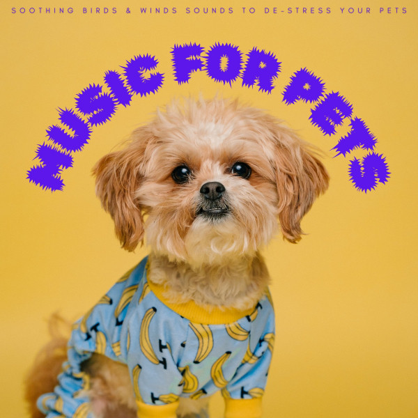 Famous Doggy Music | Spotify
