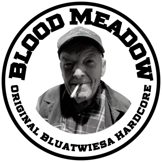 #3 (Demo) - Single by Blood Meadow | Spotify