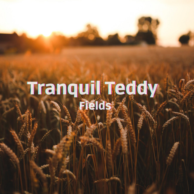Fields - Single by Tranquil Teddy | Spotify