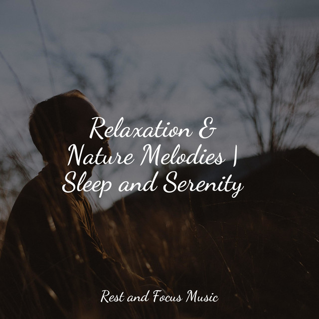 Relaxation & Nature Melodies | Sleep and Serenity - Album by Nature ...