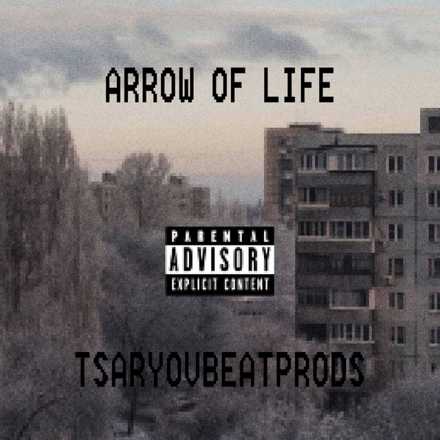 Arrow of Life - Single by Tsaryovbeatprods | Spotify