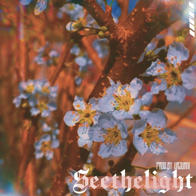 Seethelight - song and lyrics by URJURNI. | Spotify