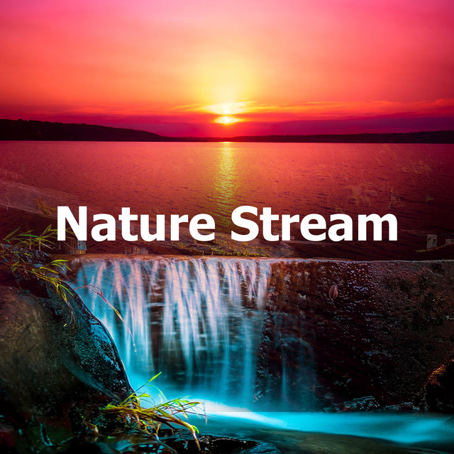 Nature Stream - Album by Rivers and Streams | Spotify