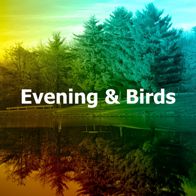 Evening & Birds - Album by Música de la Naturaleza | Spotify