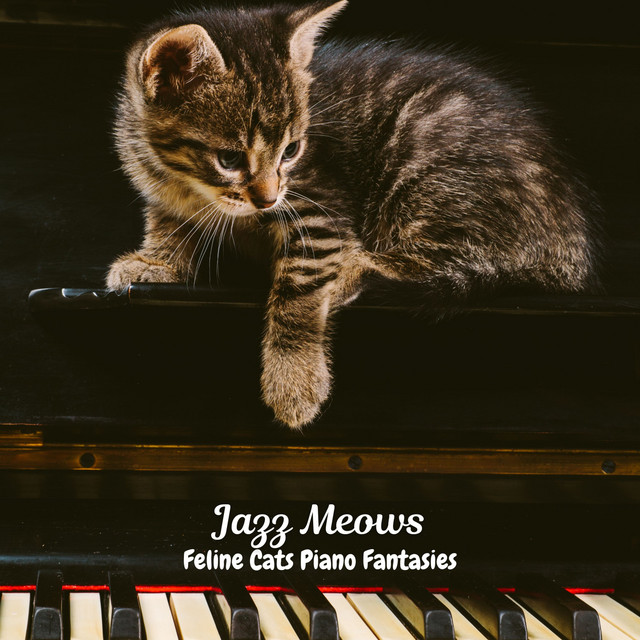 Jazz Meows: Feline Cats Piano Fantasies - Album by Chill Out Dinner ...