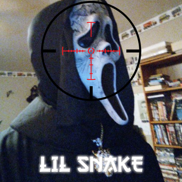 LIL SNAKE - Single by BLUNT EK | Spotify