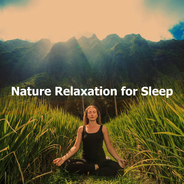 Nature Relaxation for Sleep - Album by Nature Sounds Relaxation: Music ...