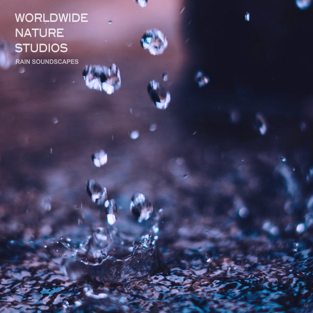Rain Soundscapes - Single by Worldwide Nature Studios | Spotify