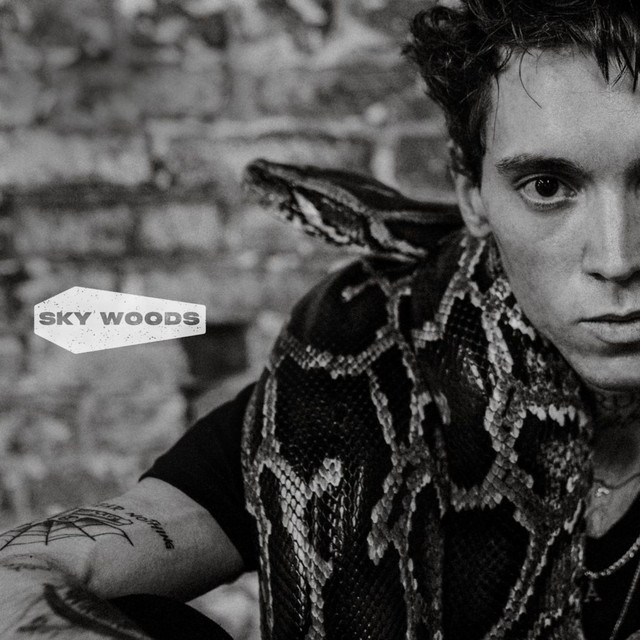 Battling my demons - EP by Sky Woods | Spotify
