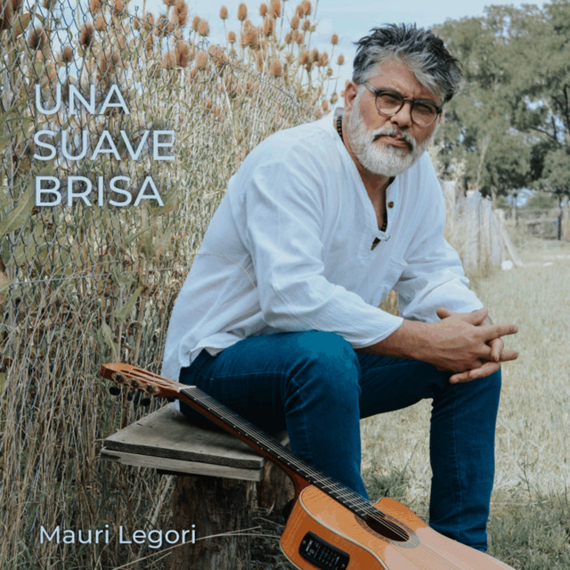 mauri legori | Spotify