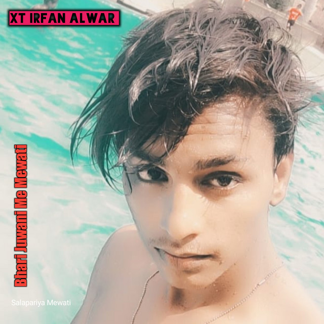 Bhari Juwani Me Mewati - Single by Xt Irfan Alwar | Spotify