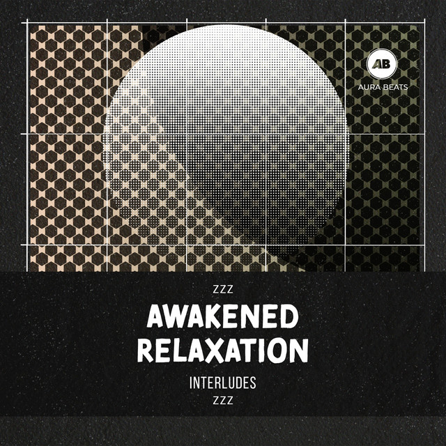 zZz Awakened Relaxation Interludes zZz - Album by White Noise ...