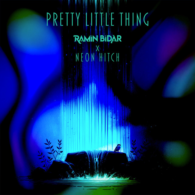 Pretty Little Thing - Single by Ramin Bidar | Spotify