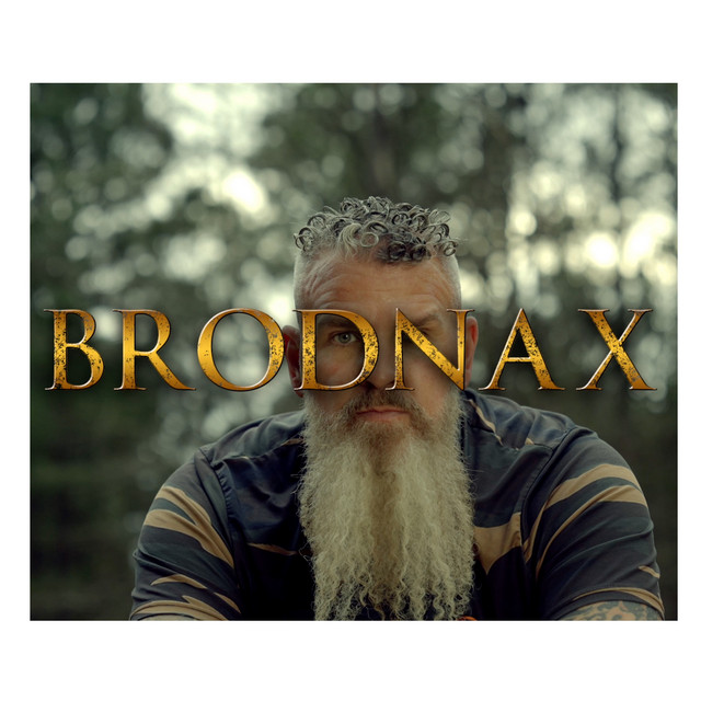 WIFI - Single by Brodnax | Spotify