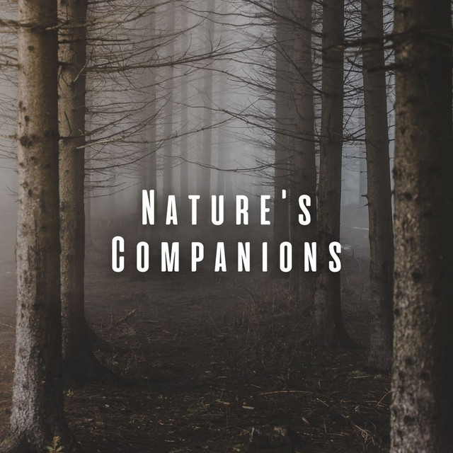 Nature's Companions: Nature Sounds and Chill Music for Pet Relaxation ...