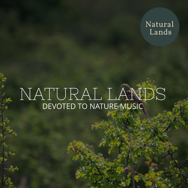 Natural Lands - Devoted to Nature Music - Album by Sleepy Times | Spotify