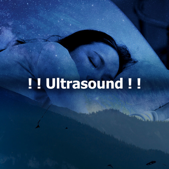 Ultrasound ! ! - Album by Absolute Sleep | Spotify