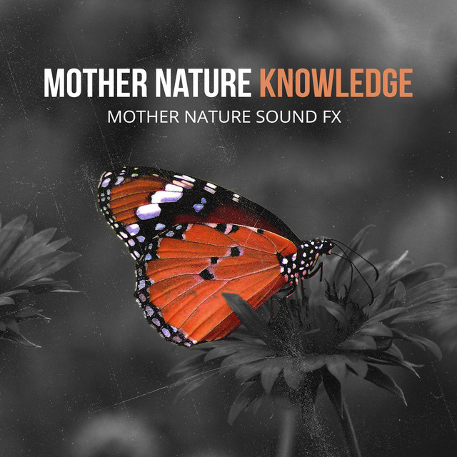 Mother Nature Knowledge - Album by Mother Nature Sound FX | Spotify