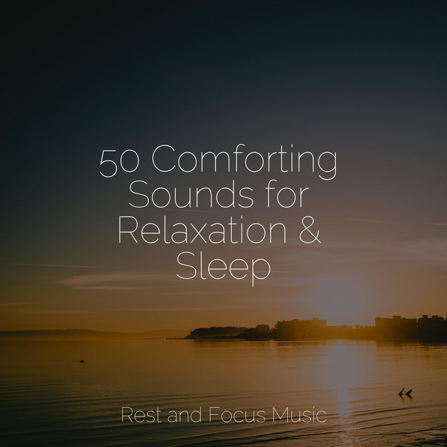 50 Comforting Sounds for Relaxation & Sleep - Album by Spa Zen | Spotify