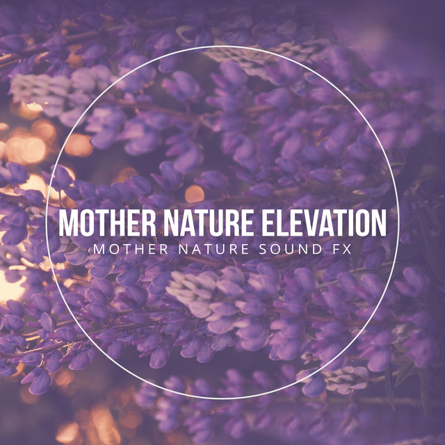 Mother Nature Elevation - Album by Mother Nature Sound FX | Spotify