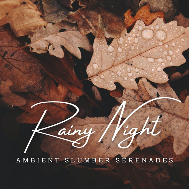 Rainy Night Reverie: Ambient Slumber Serenades - Album by Stormy ...
