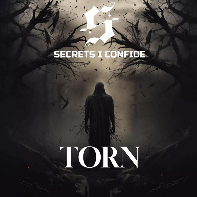 TORN - Single by Secrets I Confide | Spotify