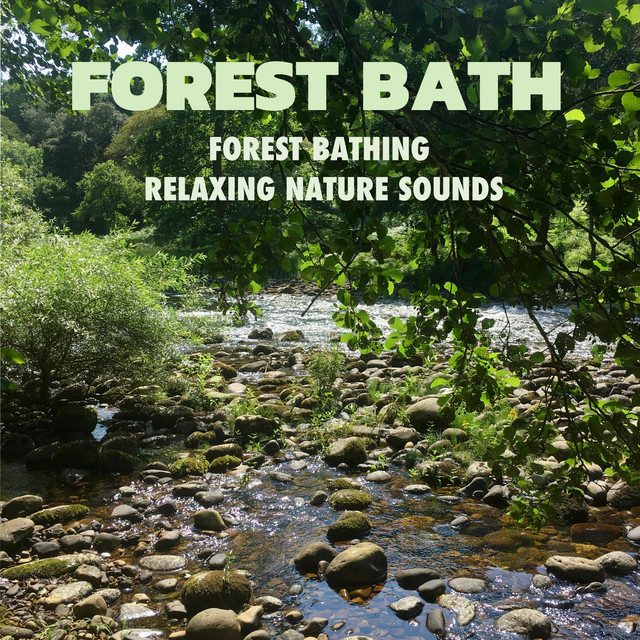 Forest Bathing: Relaxing Nature Sounds - Album by Forest Bath | Spotify
