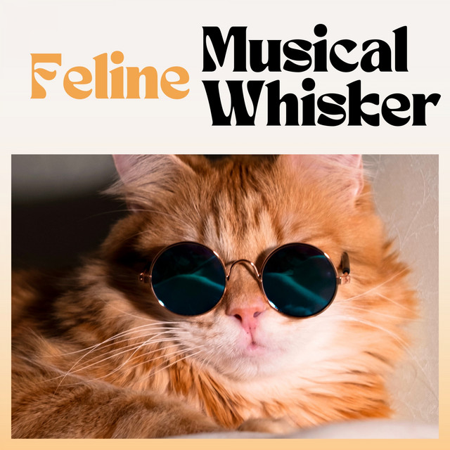 Feline Musical Whisker - Album by Cat Music | Spotify
