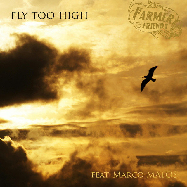 Fly too high - Single by Farmer and friends | Spotify