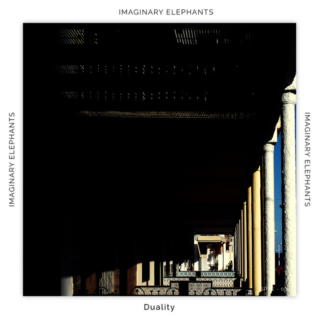 Duality - Single by Imaginary Elephants | Spotify