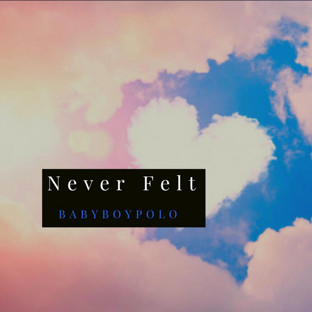 Never Felt – Single de BabyBoy Polo | Spotify