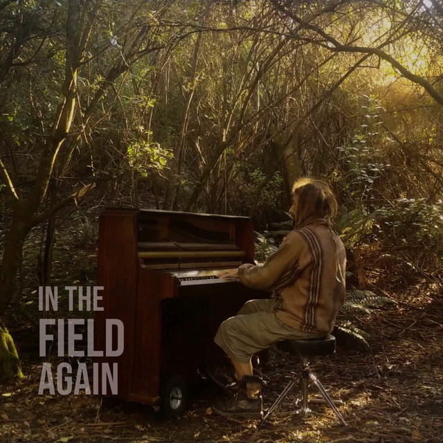 In The Field Again Pt. 2 (In The Field Again mix) - EP by AJ Hickling ...