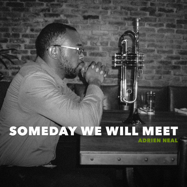 Someday We Will Meet - Single by Adrien Neal | Spotify