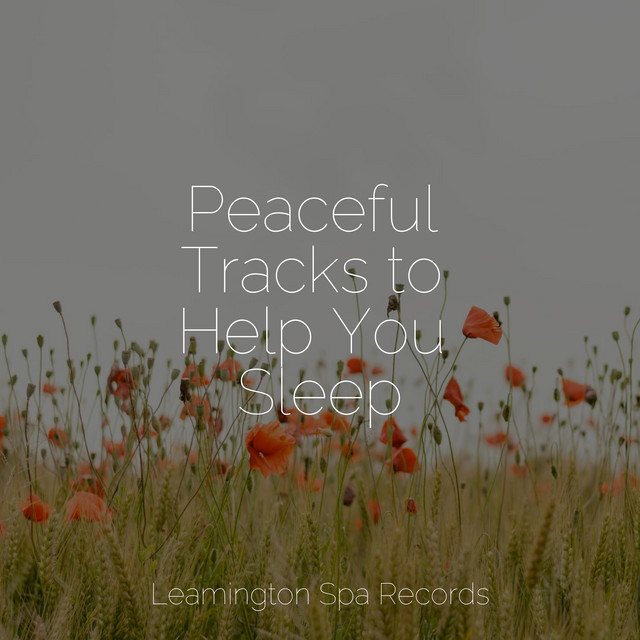 Peaceful Tracks to Help You Sleep - Album by The Relaxation Principle ...