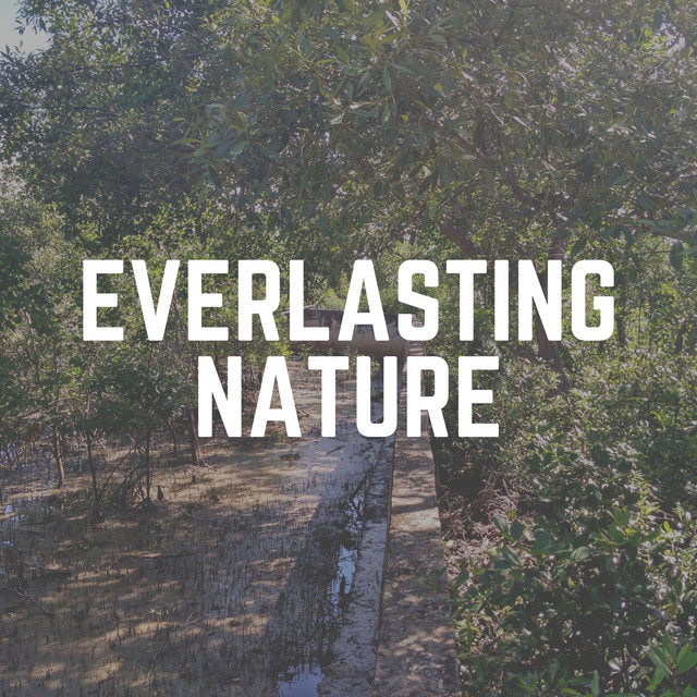 Everlasting Nature - Album by Cricket Sounds | Spotify