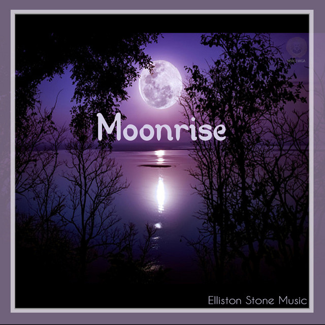 Moonrise - song and lyrics by Elliston Stone | Spotify