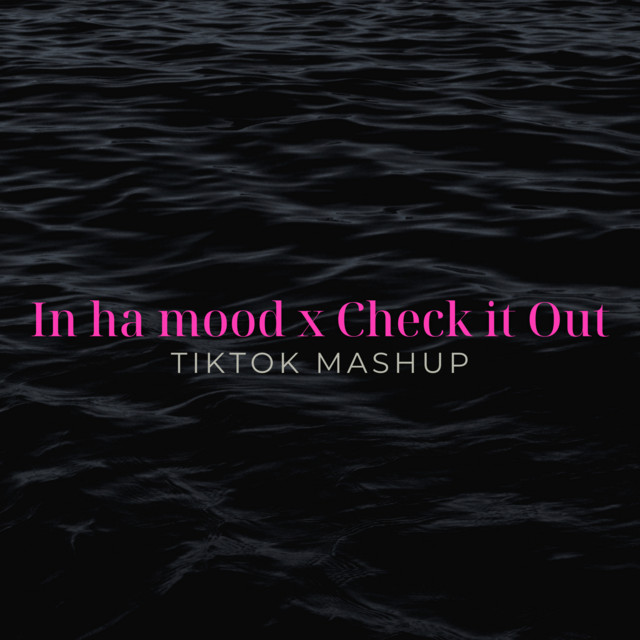 In Ha Mood x Check It Out (TikTok Mashup) - Remix - song and lyrics by ...