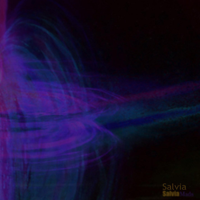 Salvia - Single by Madsrecords | Spotify