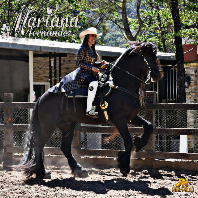 Mariana Fernandez: Songs list, genres, analysis and similar artists ...