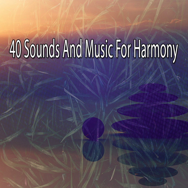 40 Sounds And Music For Harmony - Album by Relaxed Minds | Spotify