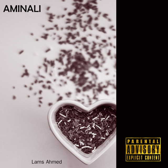 Aminali - Audiobook by Lams Ahmed | Spotify