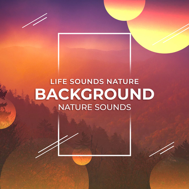 Background Nature Sounds - Album by Life Sounds Nature | Spotify
